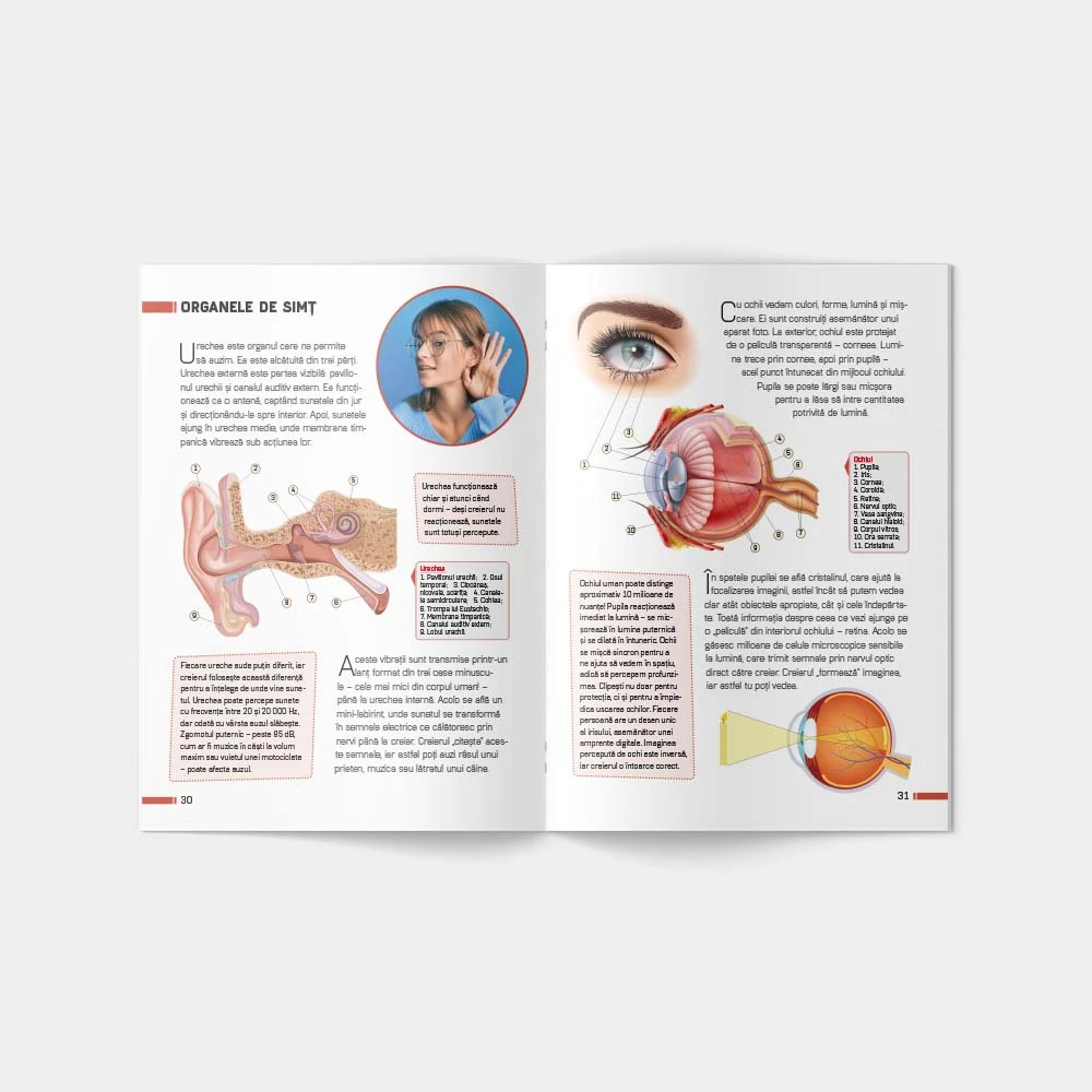 Corpul Uman - Enciclopedie Ilustrată de Anatomie pentru Copii ...